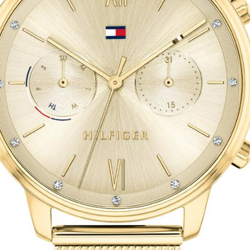 Tommy Hilfiger Blake 1782302 - zegarek damski - ZegarkiCentrum.pl